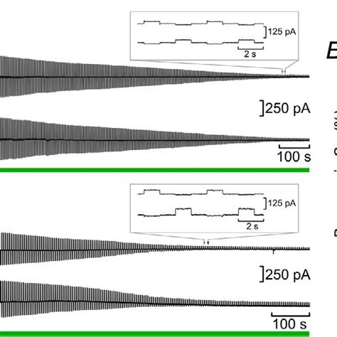Intracellular Acidification Closes Cx26 Gap Junctions And Is
