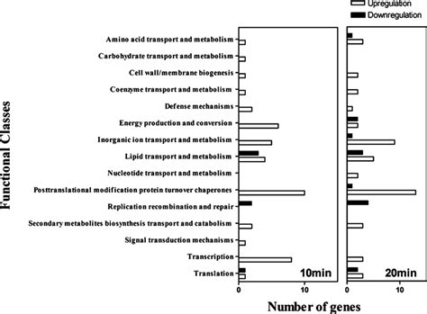 Function Classification Of Number Of Genes With Statistically