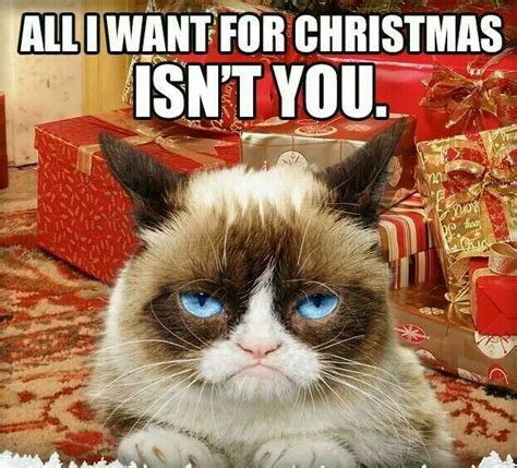 Pin By Brecca McNeil On Christmas Is Fun Funny Grumpy Cat Memes