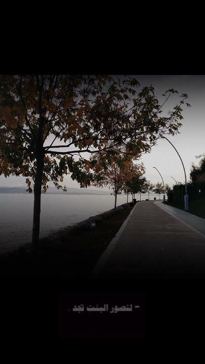 بين كلّ تجعيدة وتجعيدة من وجه أبي قصة نعيم عشته أنا وإخوتي Youtube