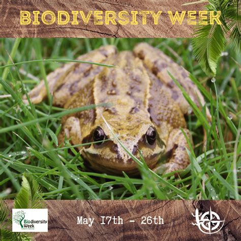 Stories By The River Biodiversity Week 2024 National Reptile Zoo