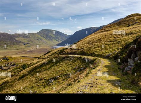 Following An Old Track Into Cwm Eigiau Pen Llitrig Y Wrach Can Be Seen