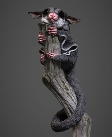 Petaurus Breviceps ZBrushCentral