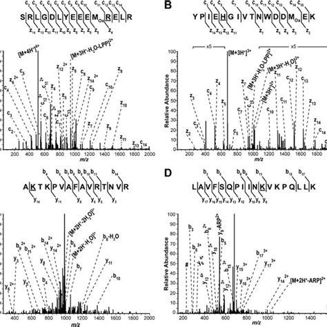 Ltq Orbitrap Etd And Cid Mass Spectra Of Oxolpp Modified Peptides A