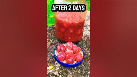 ලොවි අච්චාරු After 2 Days Superprimetv Sptv Nature Virul Pickle Youtube