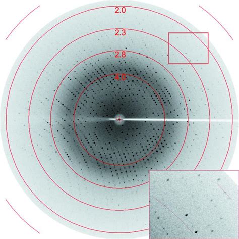 Iucr Purification Crystallization And Preliminary X Ray Diffraction