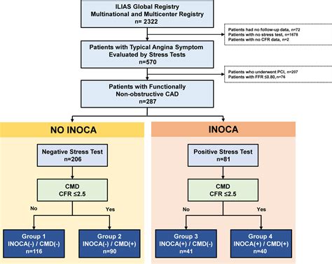 Clinical Relevance Of Ischemia With Nonobstructive Coronary Arteries