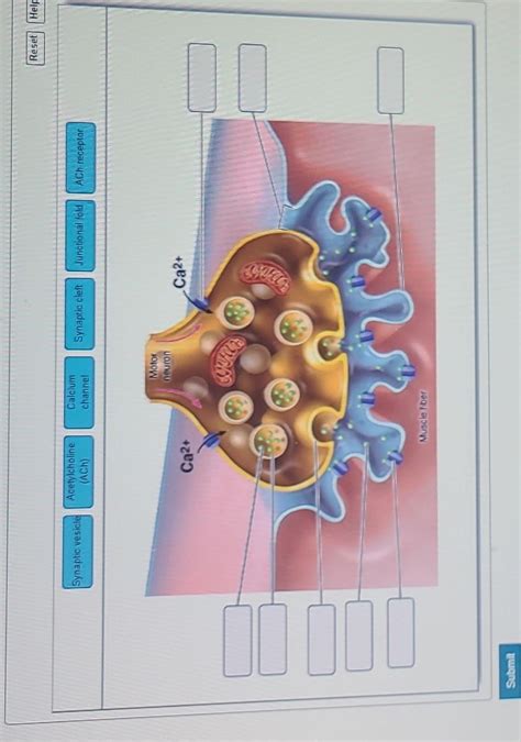 Solved Please Help Me Label This Chegg