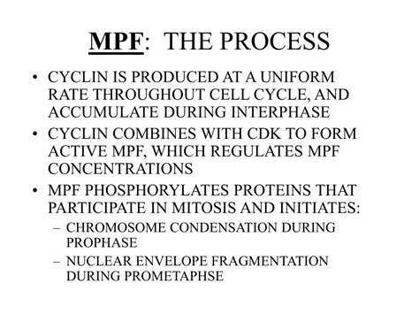 Ppt Chapter 12 Powerpoint Presentation Free Download Id1464030