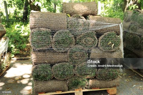 녹색과 갈색 패턴야외 카펫 잔디 양탄자의 클로즈업 녹색 잔디와 토양의 잔디는 거리에서 팔레트에 롤로 압연 스택의 잔디는 녹색에 대 한 준비가 0명에 대한 스톡 사진 및 기타