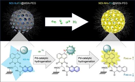 An Activity‐based Ratiometric Fluorescent Probe For In Vivo Real‐time