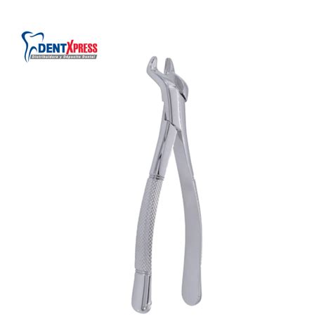 Fórcep 210s Para 3er Molar Superior Hu Friedy Depósito Dental Dentxpress