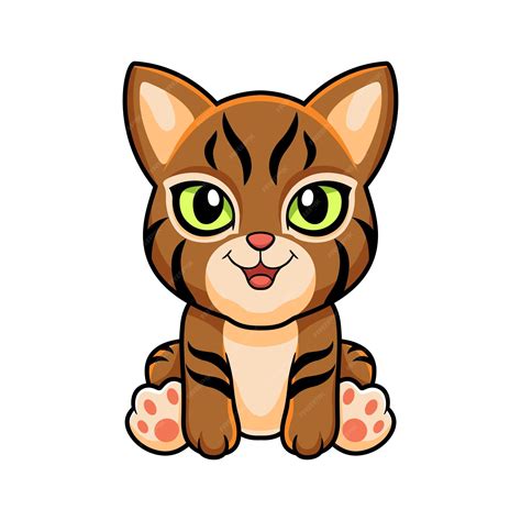 Premium Vector Cute Pixie Bob Cat Cartoon
