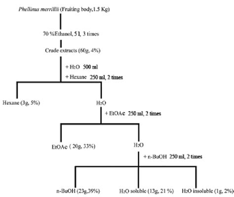 Extraction And Fractionation Scheme Of Phellinus Merrillii Download