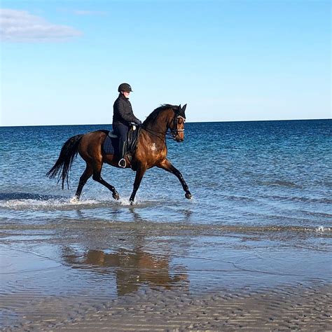 Lisa Wasson Los Angeles Ca