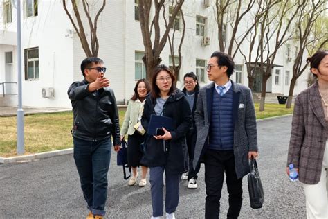 中央美术学院国际学院