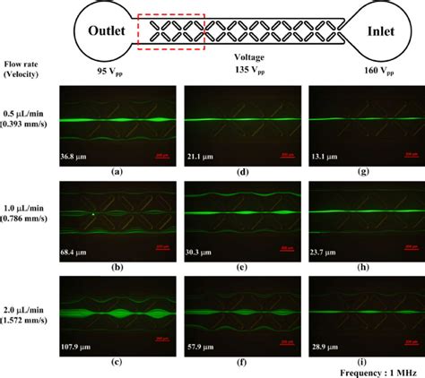 Experimental Results Of Particle Focusing At Various Inlet Flow Rates Download Scientific