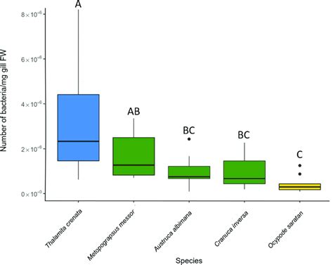 Bacterial Quantification Using Qpcr Analysis Bacterial Abundance On