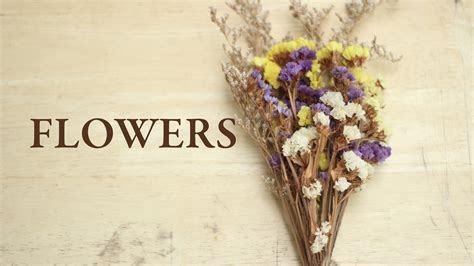 Flowers 2010 Plex