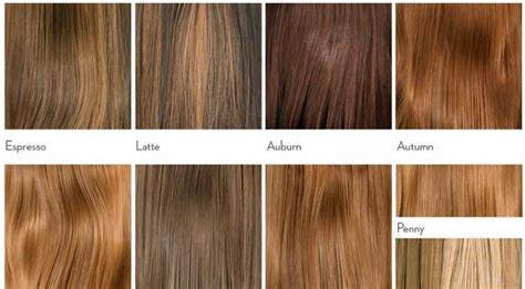 Exploring 100 The Ion Permanent Hair Color Chart