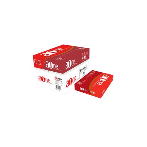 Carton De 5 Ramettes Papier A4 Blanc 80 G Aone