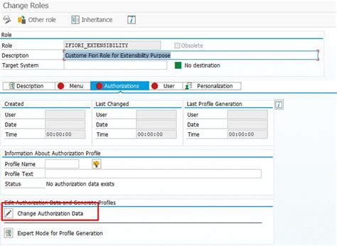 Using Extensibility Options In Sap S4hana After System Conversion