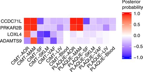 Pairwise Colocalization Results For Genes Identified For Cimt And Download Scientific Diagram