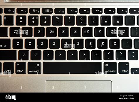 Zeds hi-res stock photography and images - Alamy