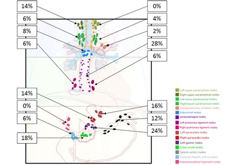 Incidence Lymph Node Metastases Per Lymph Node Station In Patients With