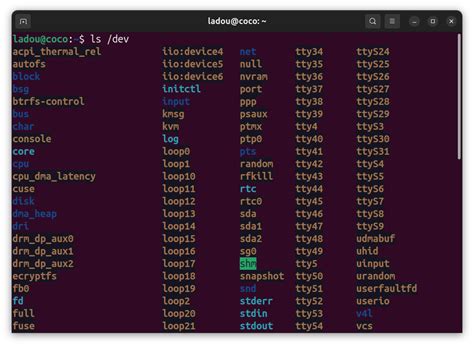 An Introduction To Linux Filesystem Layout Where Everything Lives