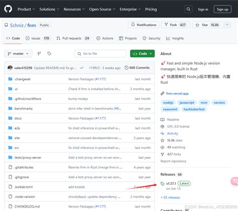 node js 多版本管理工具 fnm 工具新手小白使用教程 nodejs fnm csdn博客