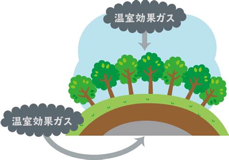 日本、世界の動きは？