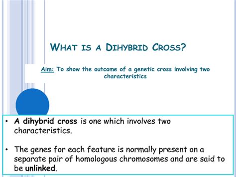 Genetics Chapter Flashcards Quizlet