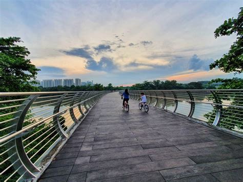 Did You Know That The Idea Of A Round Island Route Rir First Emerged