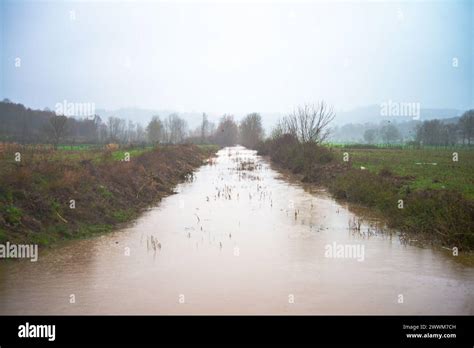 Immerse Yourself In The Tranquil Beauty Of A River Winding Through Rain