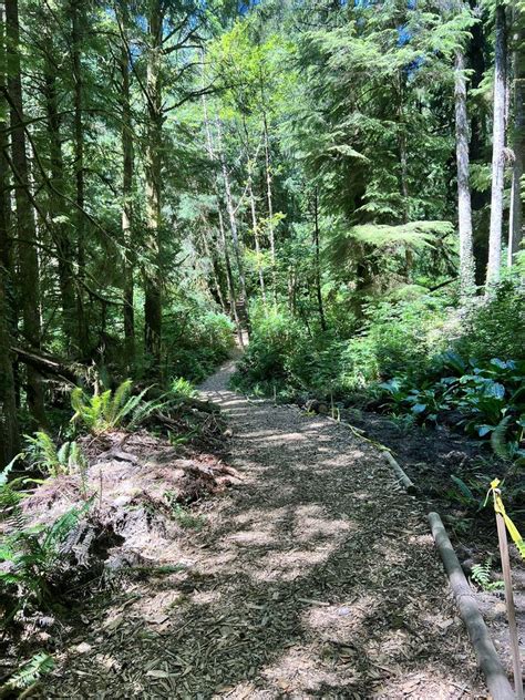 Friends Of Wildwoods Updated April 2024 2579 Ne West Devils Lake Rd
