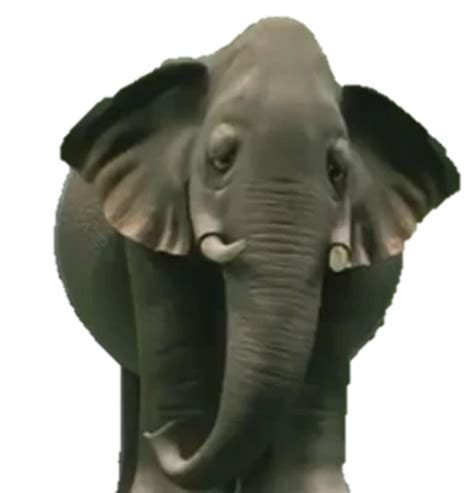 Elephant From Dm By Darkmoonanimation On Deviantart