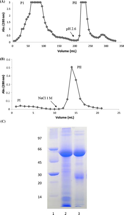 Purification Of Lonchocarpus Araripensis Seed Lectin A Affinity Download Scientific Diagram