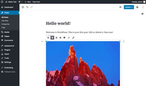 Gutenberg Editor Review By Misha Rudrastyh