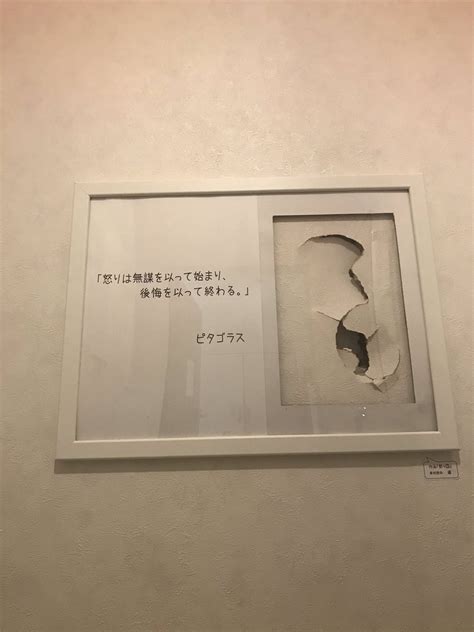 どこのおうちにも1つはある？怒りで開いた壁の穴を芸術作品に 話題の画像プラス