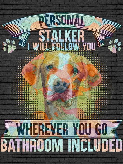Personal Stalker I Will Follow You English Pointer Lovers Digital Art By Clint Mclaughlin Fine