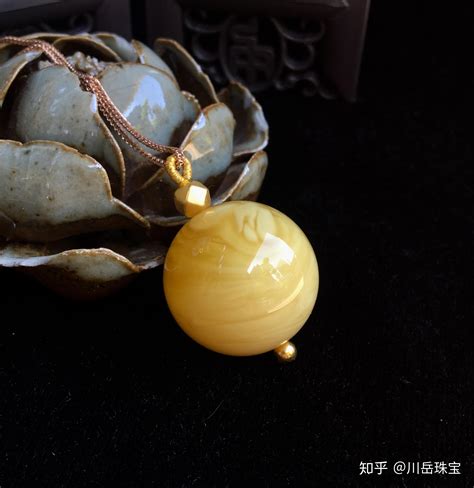 琥珀知识科普 知乎