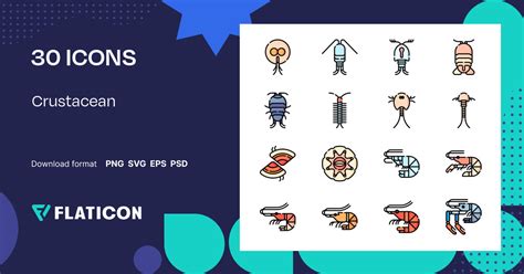 Crustacean Icon Pack Lineal Color 30 Svg Icons