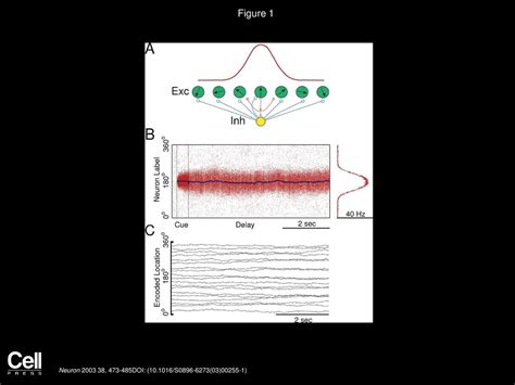 Robust Spatial Working Memory Through Homeostatic Synaptic Scaling In Heterogeneous Cortical