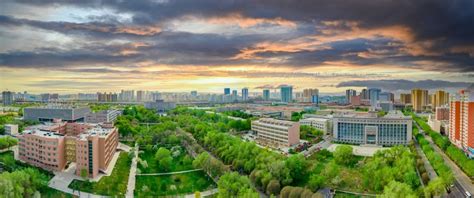 新疆农业大学本科生招生网站