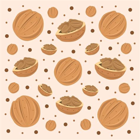 Premium Vector Walnut Vector Illustration