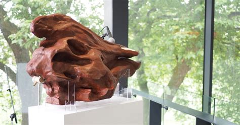 These Chinese Sex Dolls That Cost Up To 3k Are In High Demand