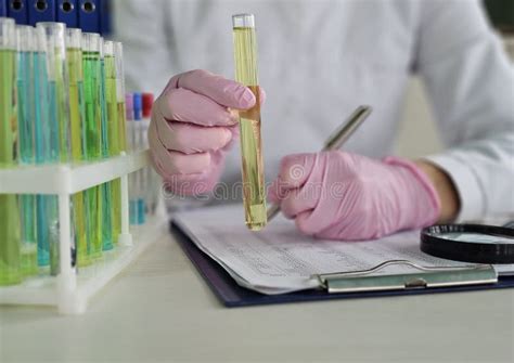 Scientist Conducting An Experiment With Test Tubes And Analyzing Data In A Laboratory Stock