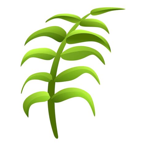 Long Leaf Plant Images Free Download On Freepik