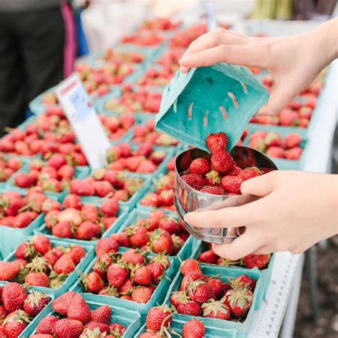 7 Must Have Sustainable Items For Your Home